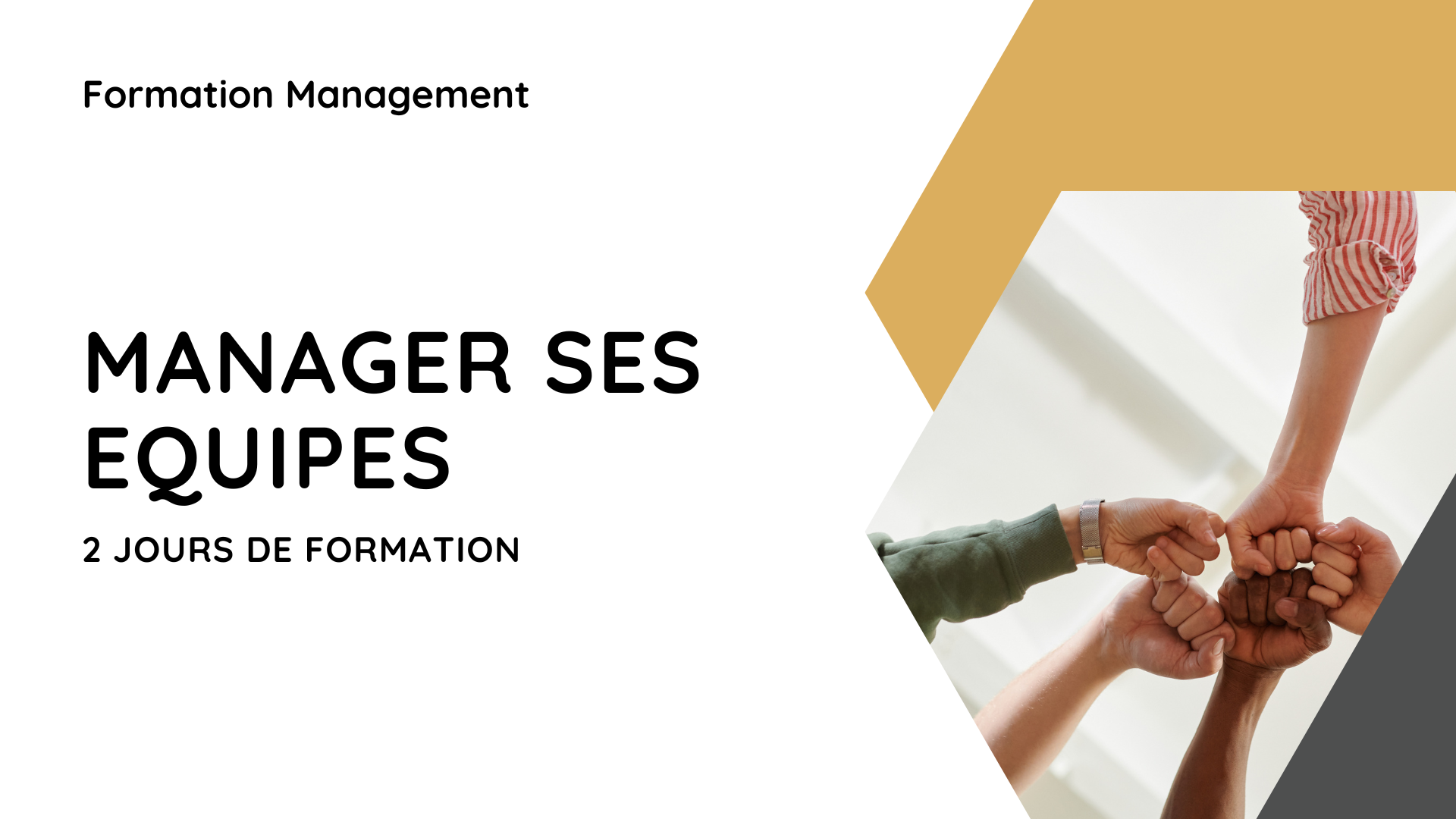 Formation Management à Toulouse Sud