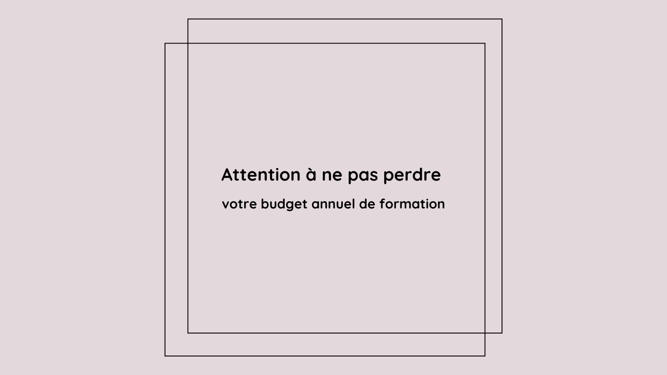 Budget de formation professionnelle - Revl Formation